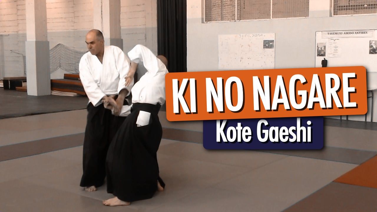 KI NO NAGARE KOTE GAESHI (Aikido Iwama)