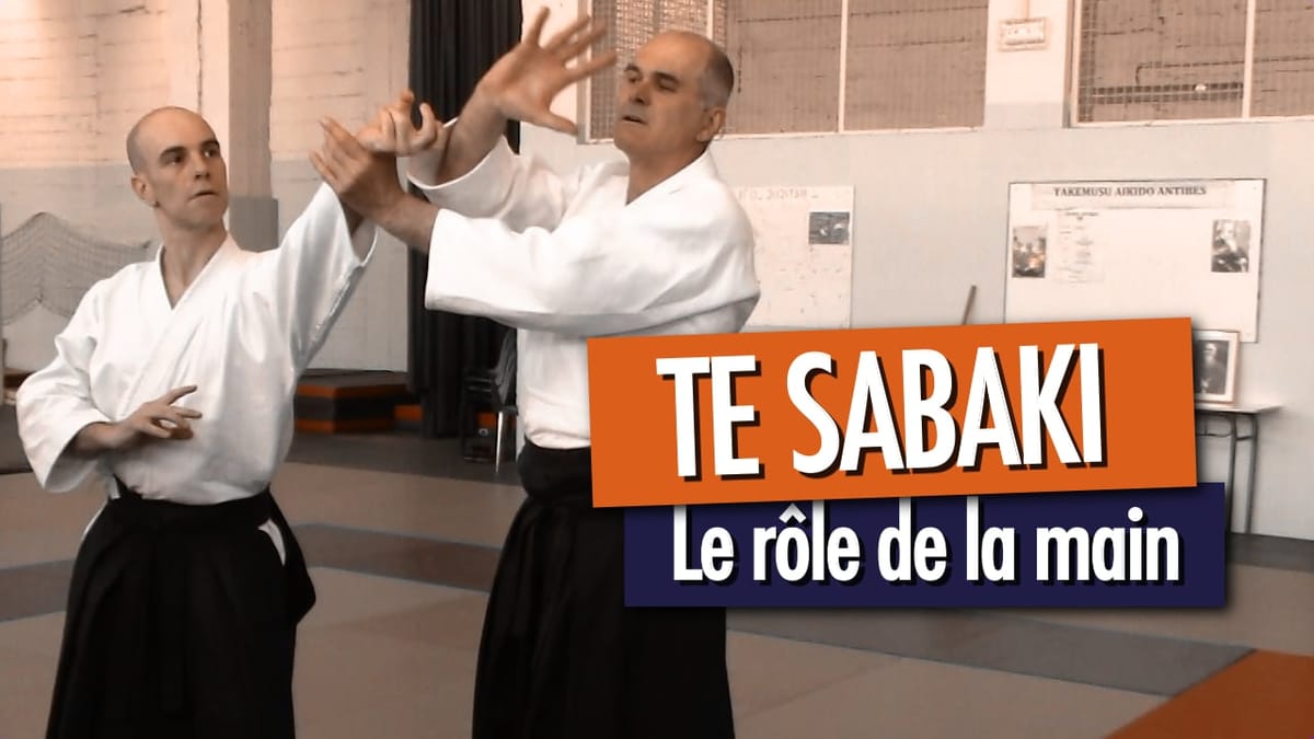 TE SABAKI (Aikido Iwama)